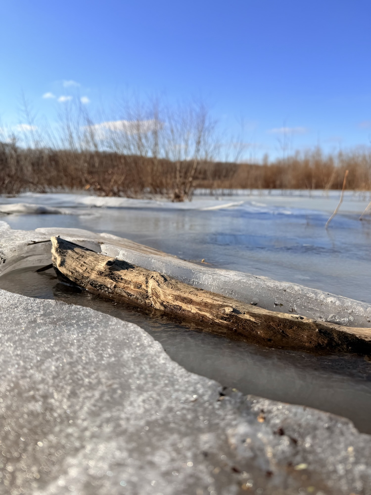 Water’s Eve – angie dicken